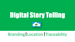 Double M Technology Management – ดำเนินกิจการธุรกิจพัฒนาซอฟต์แวร์สำหรับธุรกิจ และอุตสาหกรรม