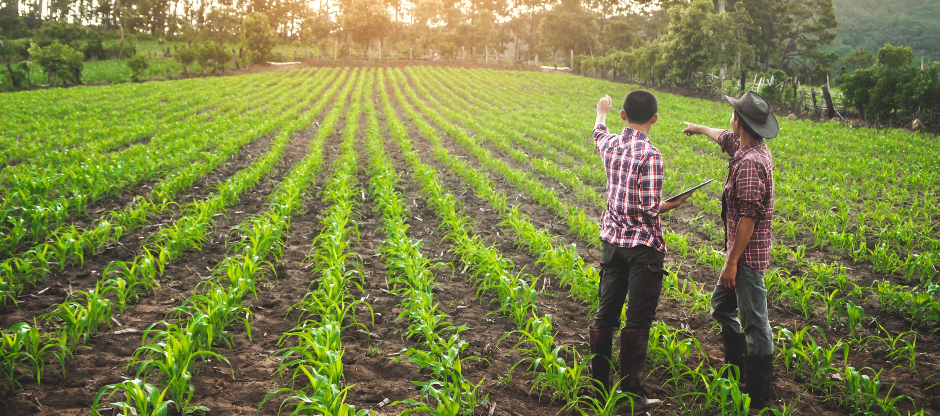 AgriPro Promoter – Double M Technology Management